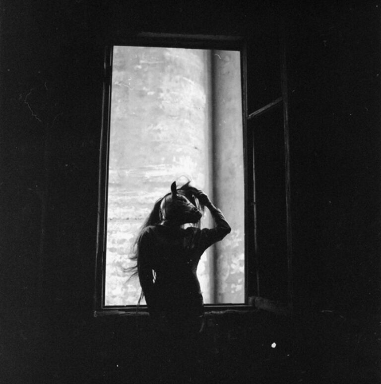 Collections – Bob Basset